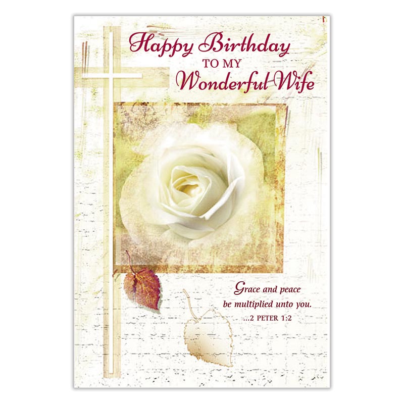 Wonderful Wife Birthday Greetings Card – Potters House Limited